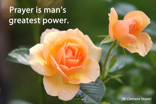 Novena To St Roch | DAILY PRAYERS